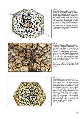 Bamboo under the_microscope | PDF