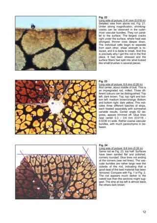 Bamboo under the_microscope | PDF