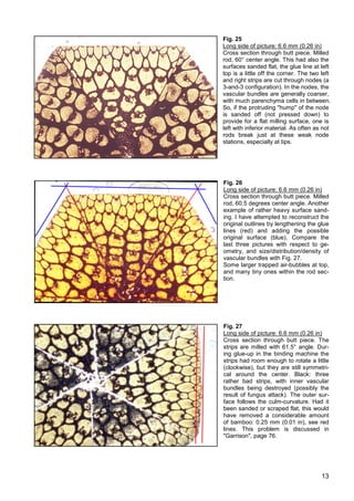 Bamboo under the_microscope | PDF