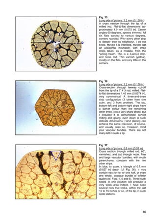 Bamboo under the_microscope | PDF