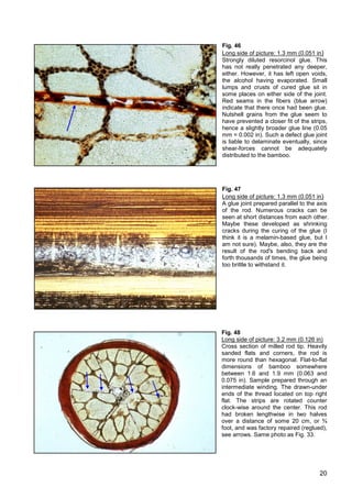 Bamboo under the_microscope | PDF