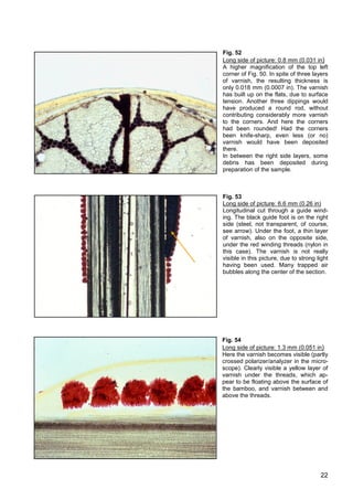 Bamboo under the_microscope | PDF