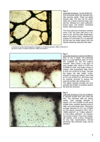 Bamboo under the_microscope | PDF