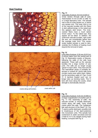 Bamboo under the_microscope | PDF