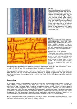 Bamboo under the_microscope | PDF