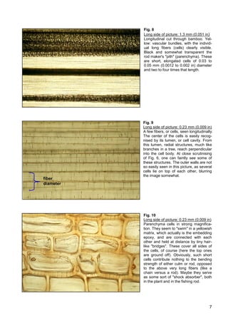 Bamboo Fiber Microscope