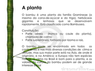 Bambu | PPTX