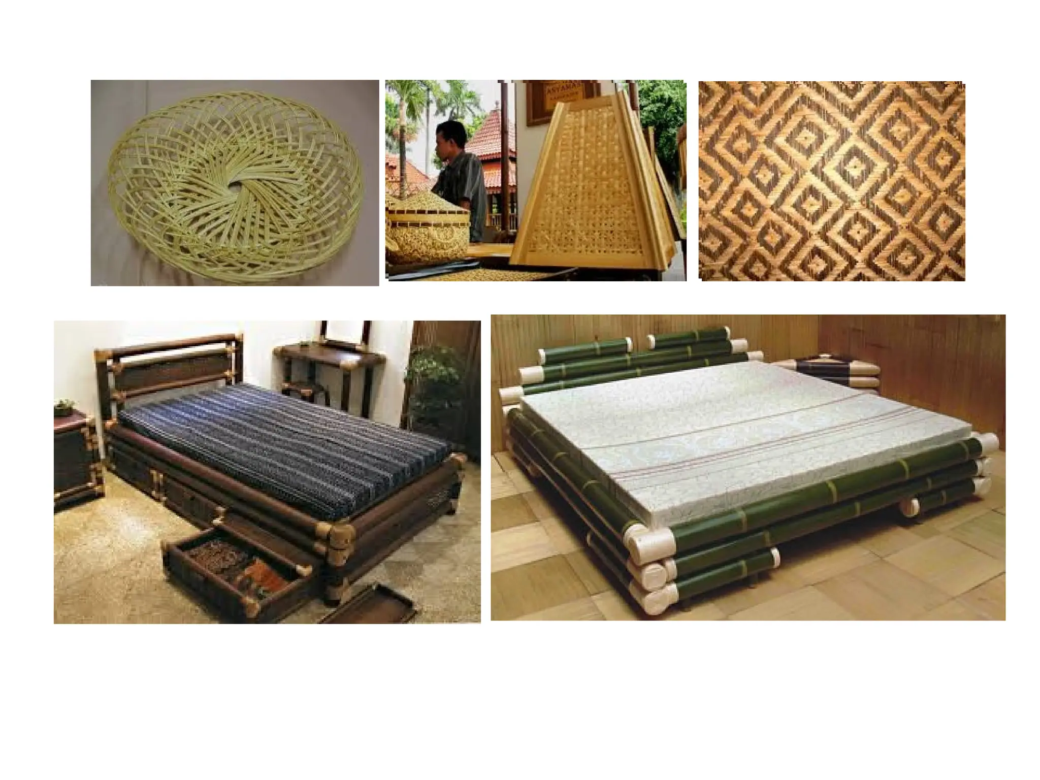 BAMBU sebagai jenis hasil hutan non kayu | PPTX