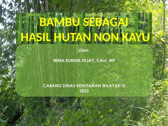 BAMBU sebagai jenis hasil hutan non kayu | PPTX