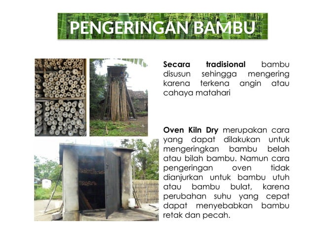 BAMBU sebagai jenis hasil hutan non kayu | PPTX