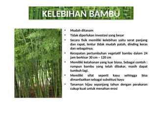 BAMBU sebagai jenis hasil hutan non kayu | PPTX