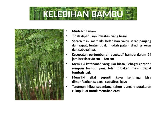 BAMBU sebagai jenis hasil hutan non kayu | PPTX