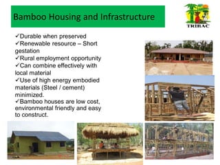 Bamboo for Livelihood Business | PDF