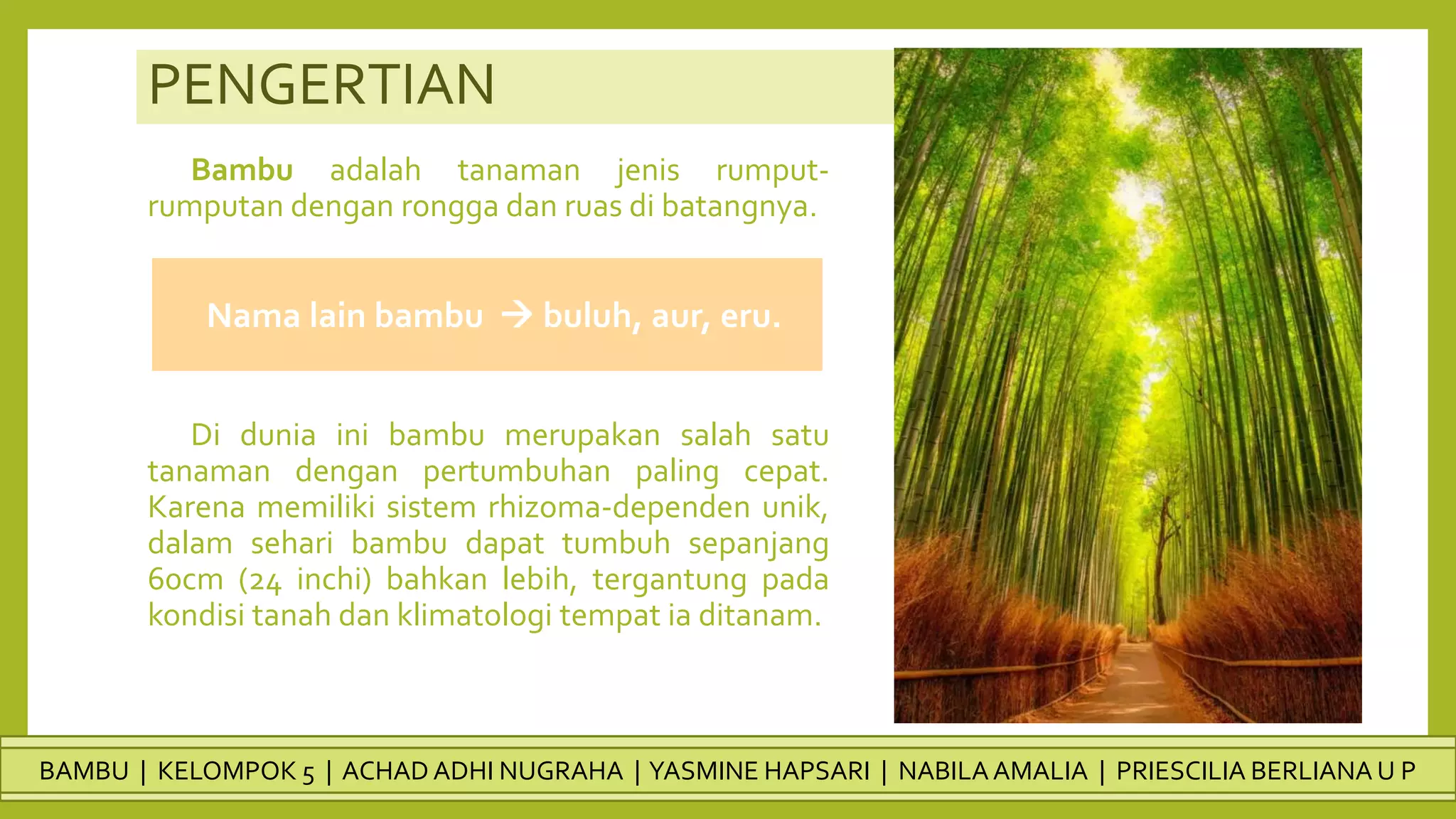 konstruksi bahan bangunan: bambu | PPTX