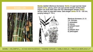 konstruksi bahan bangunan: bambu | PPTX