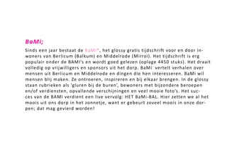 BaMiBal inzending Dorpenderby | PPT