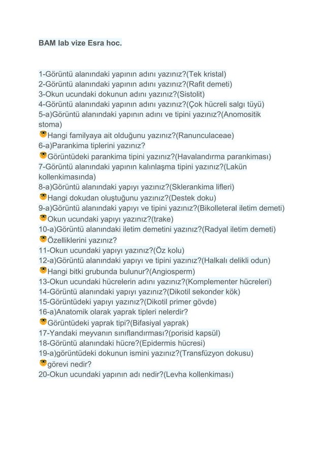 Bam lab vize esra | DOCX