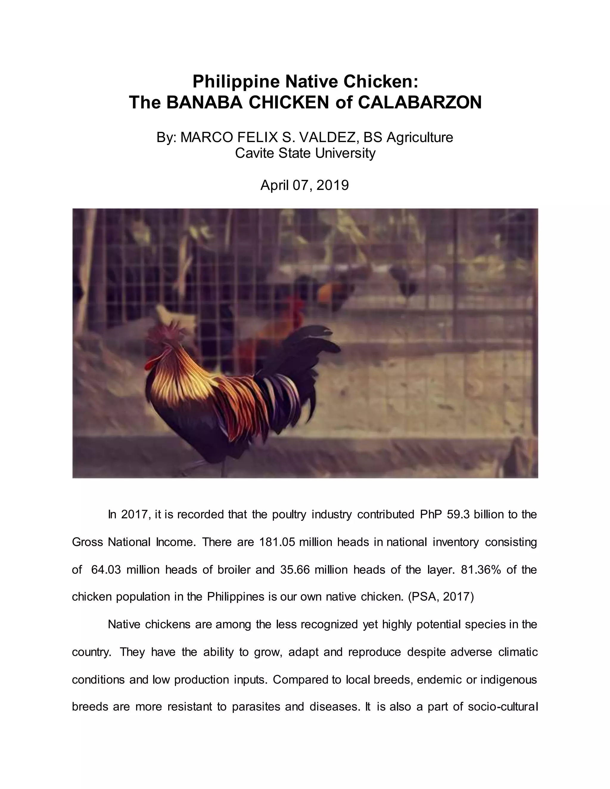 Philippine Native Chicken: The BANABA NATIVE CHICKEN of CALABARZON | DOCX