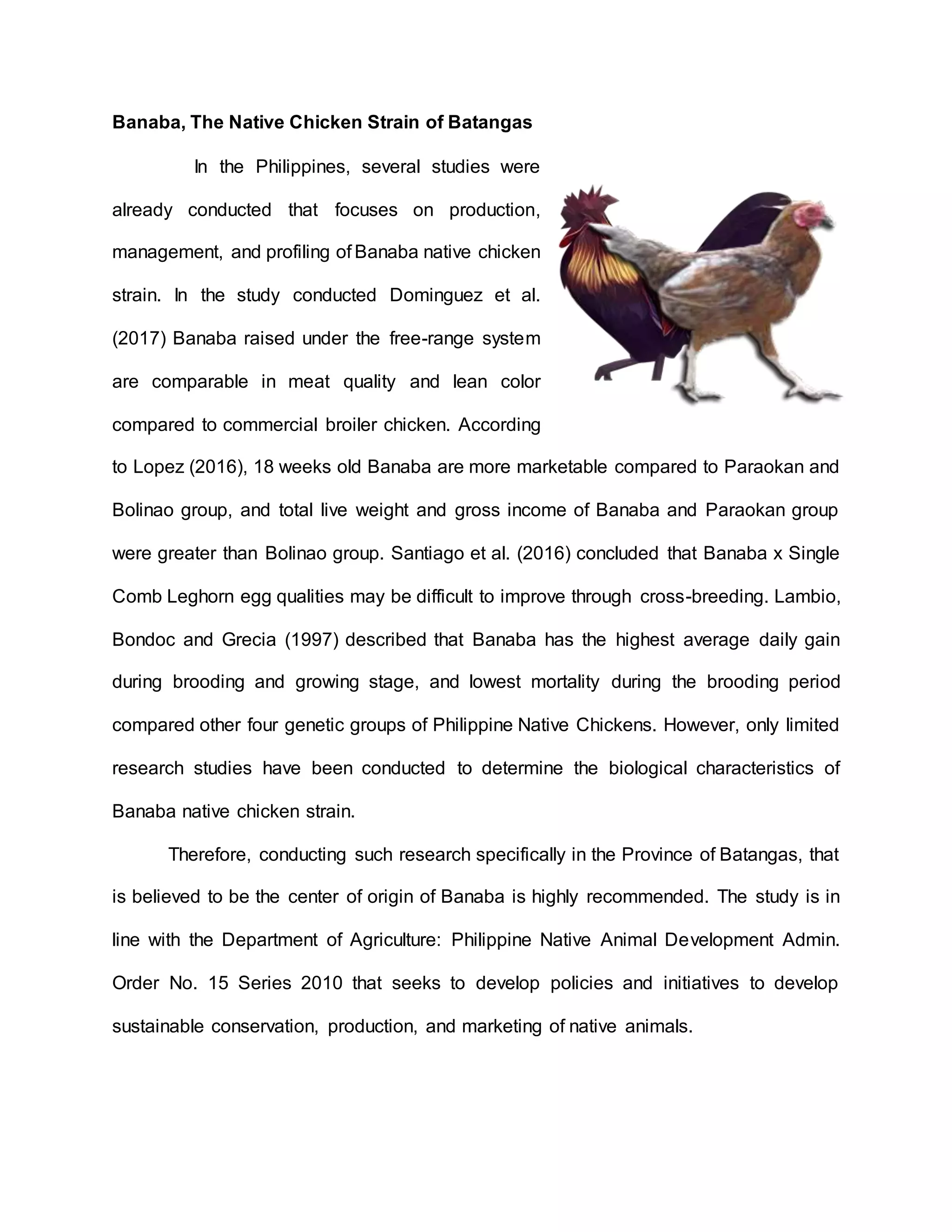 Philippine Native Chicken: The BANABA NATIVE CHICKEN of CALABARZON | DOCX