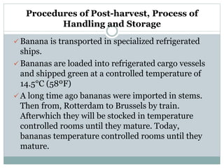 Banana | PPTX