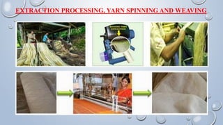 PPT ON BANANA FIBRE | PPTX