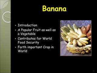 Banana - Dr. Mahesh Ghuge | PPT
