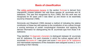 Banana all agricultural practices including the season to season ...