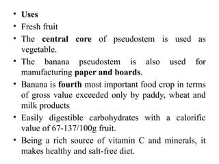 banana- morphology, taxonomy, varieties.pptx