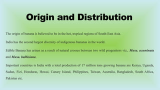 Systematics of banana, its classification.pptx