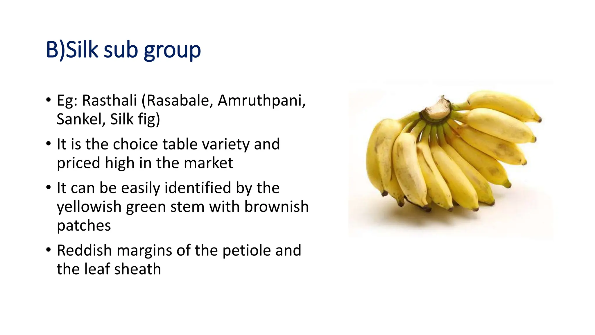 banana-classification and floral biology.pptx | Gardening | Home & Garden