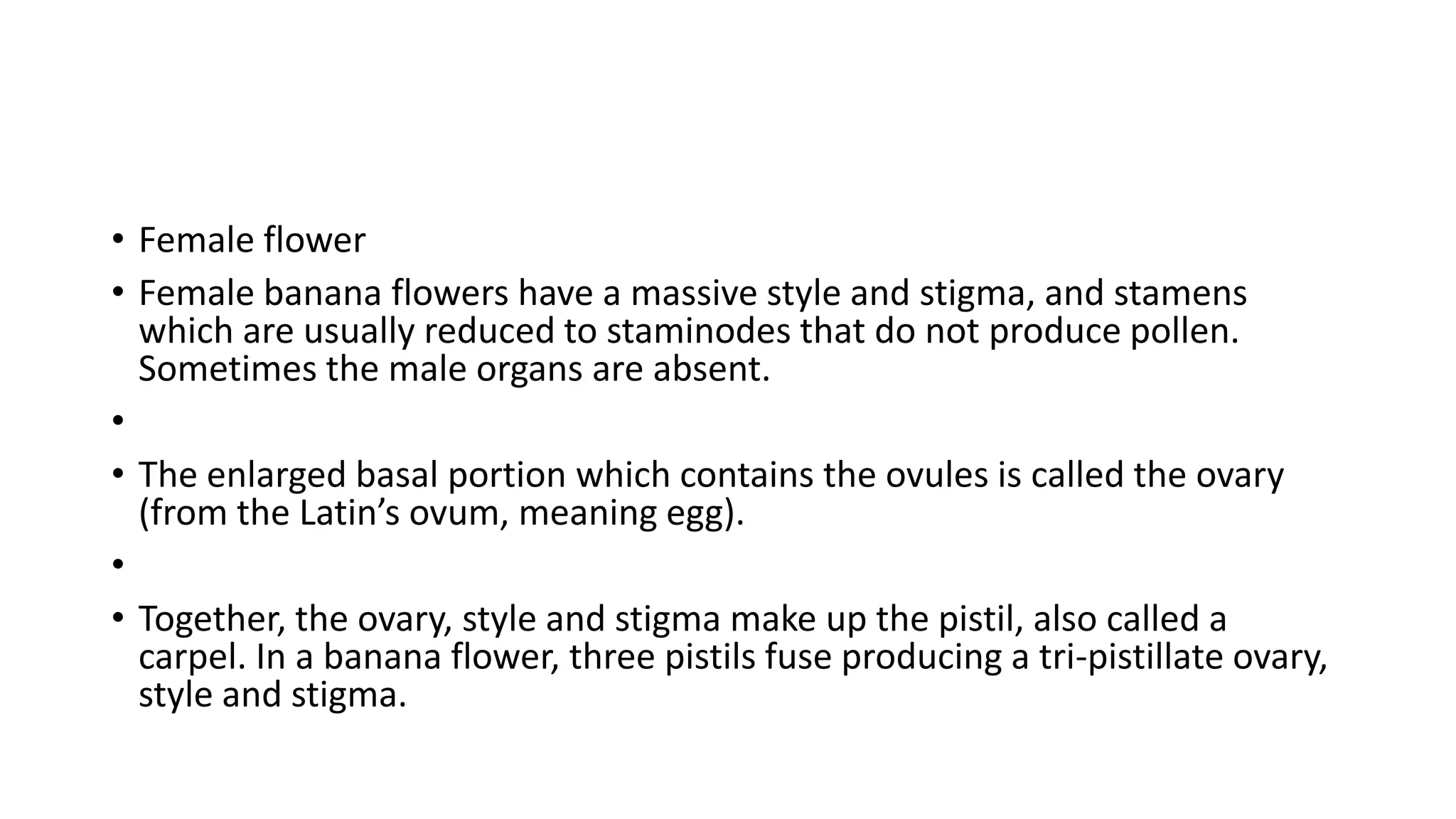 banana-classification and floral biology.pptx