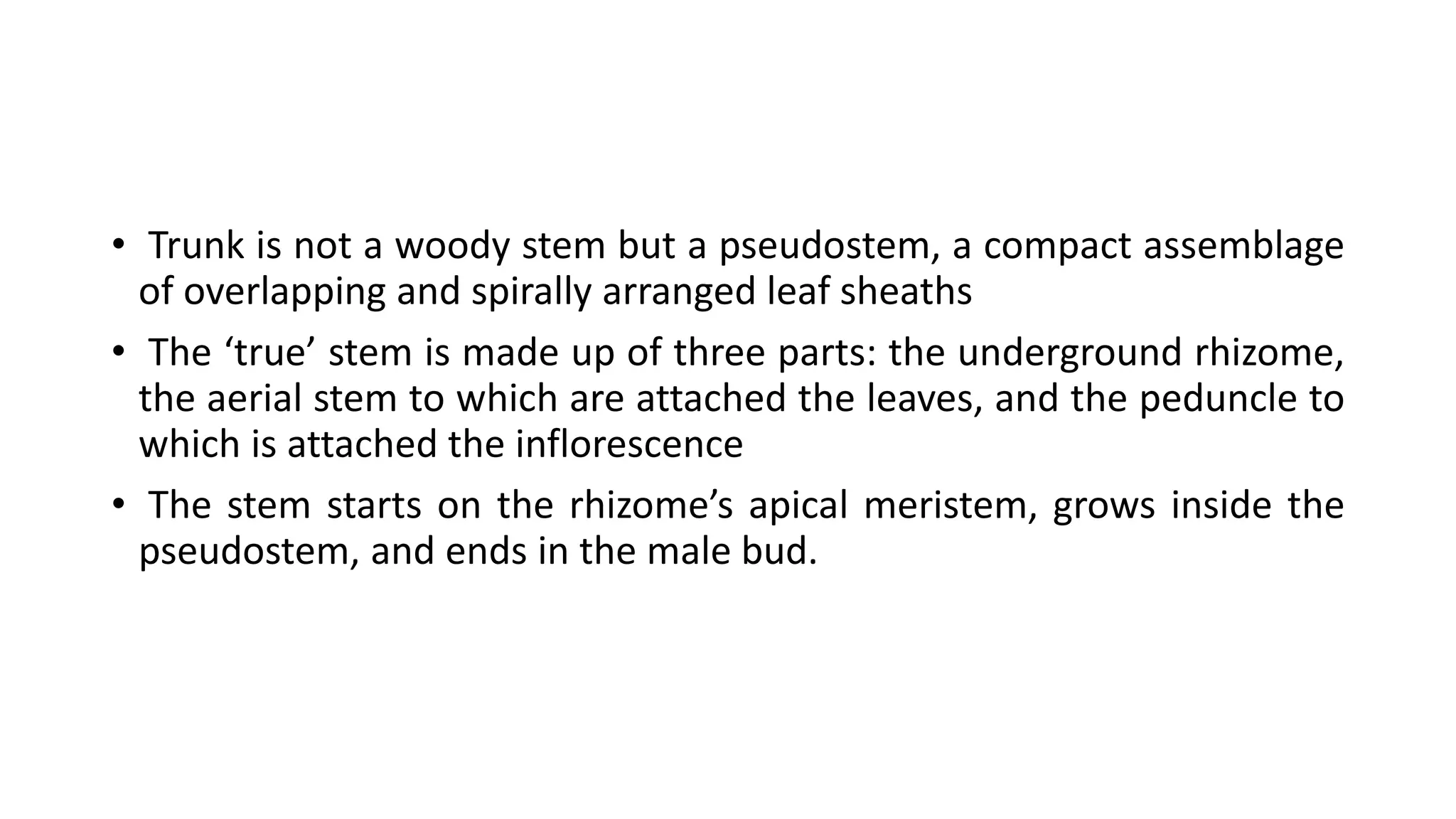 banana-classification and floral biology.pptx