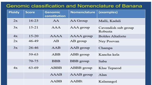 banana-classification and floral biology.pptx | Gardening | Home & Garden