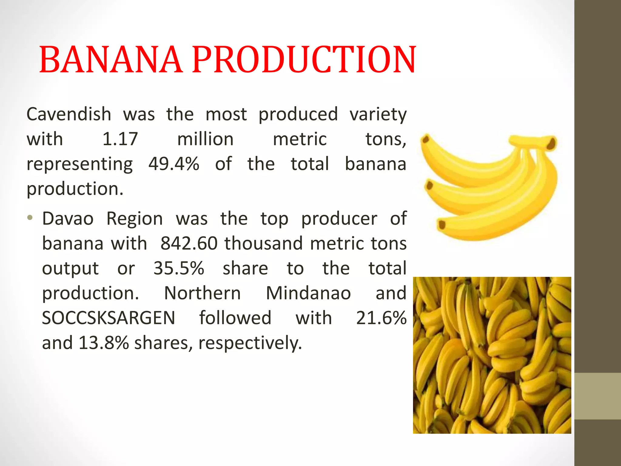 BANANA production and processing-PPT.pptx
