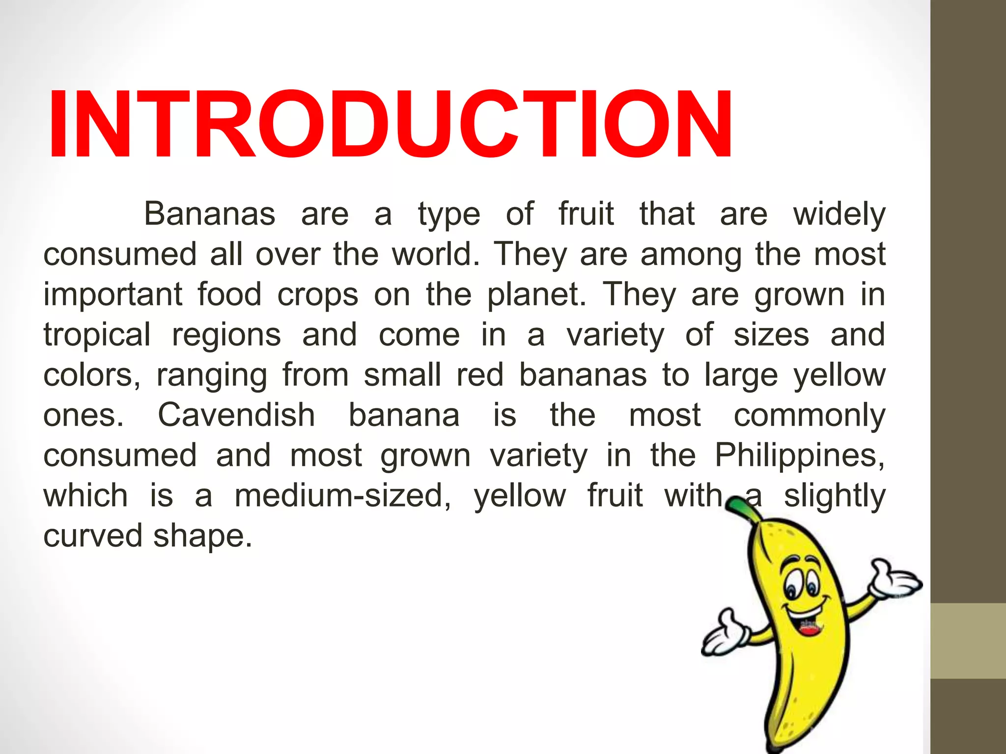 BANANA production and processing-PPT.pptx