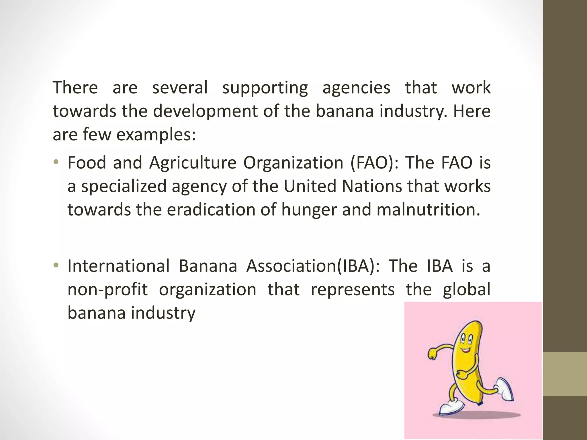 BANANA production and processing-PPT.pptx