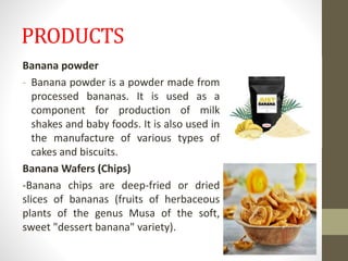 BANANA production and processing-PPT.pptx