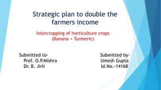 Banana and turmeric Intercropping | PPTX