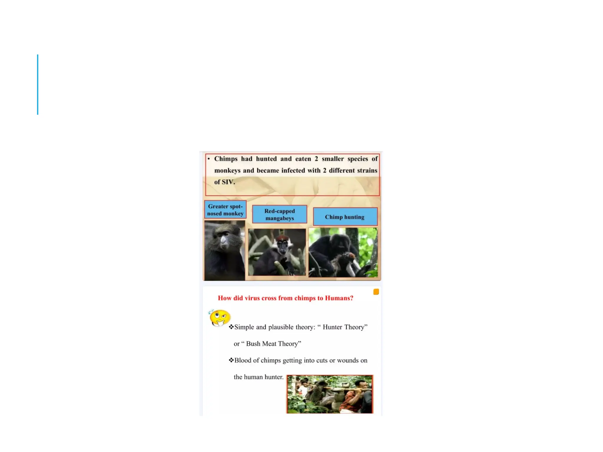 banana blah blah.pptx yummy banana with jelly | PPTX