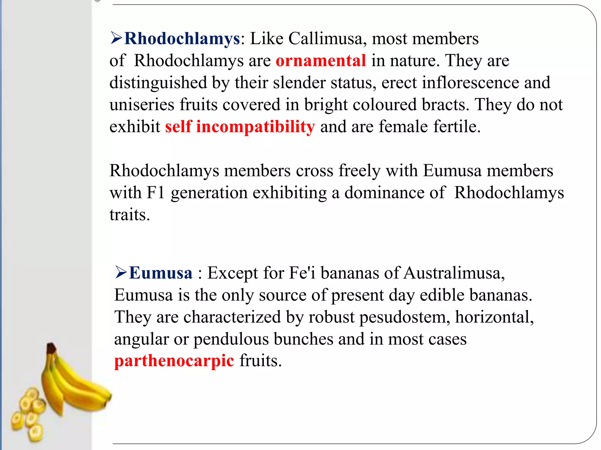 Banana Biodiversity | PPTX