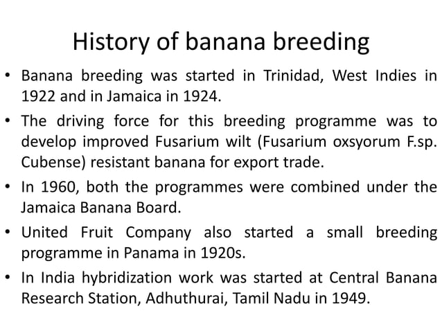 Banana breeding | PPTX