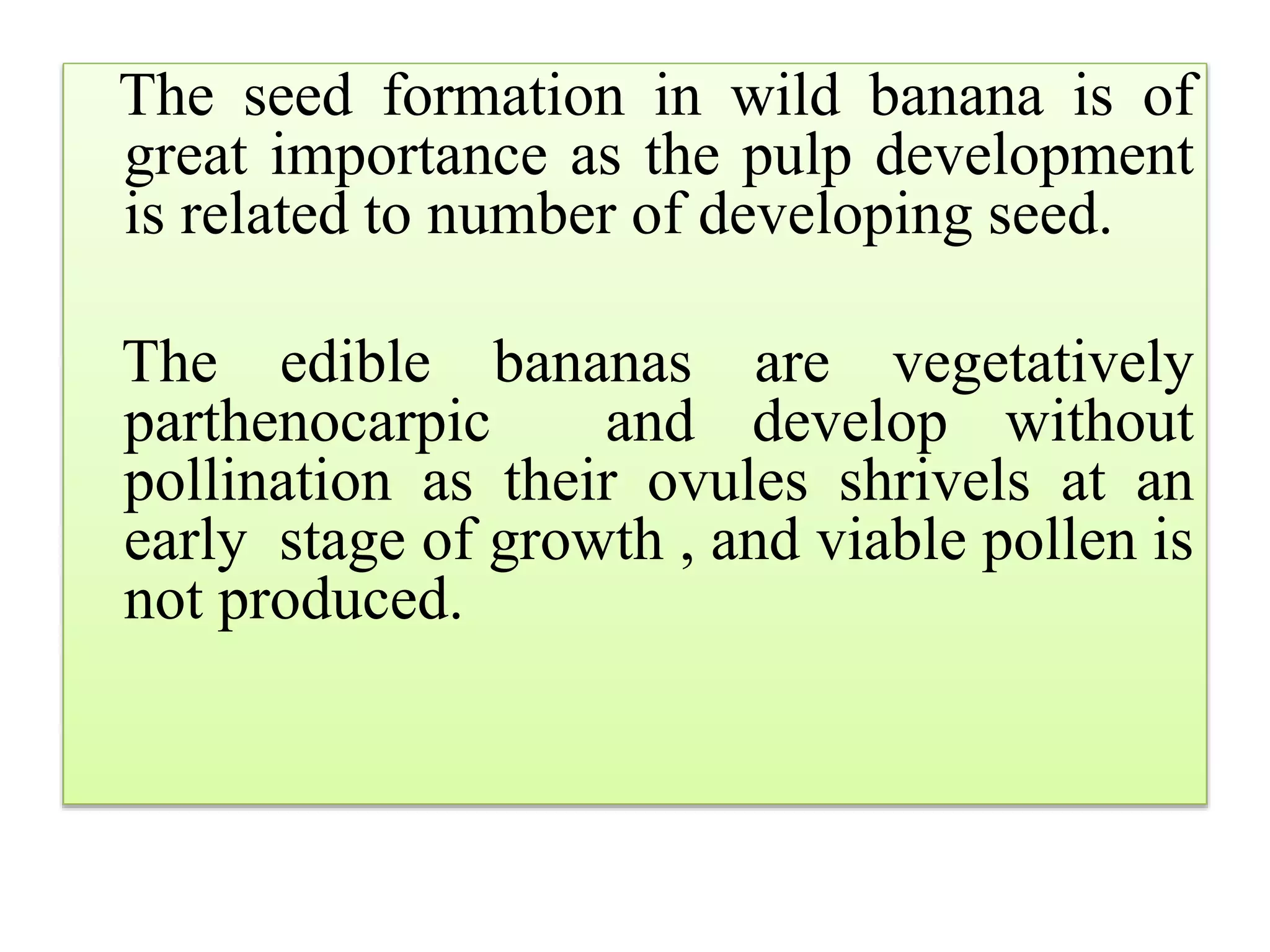 BANANA BREEDING.pptx