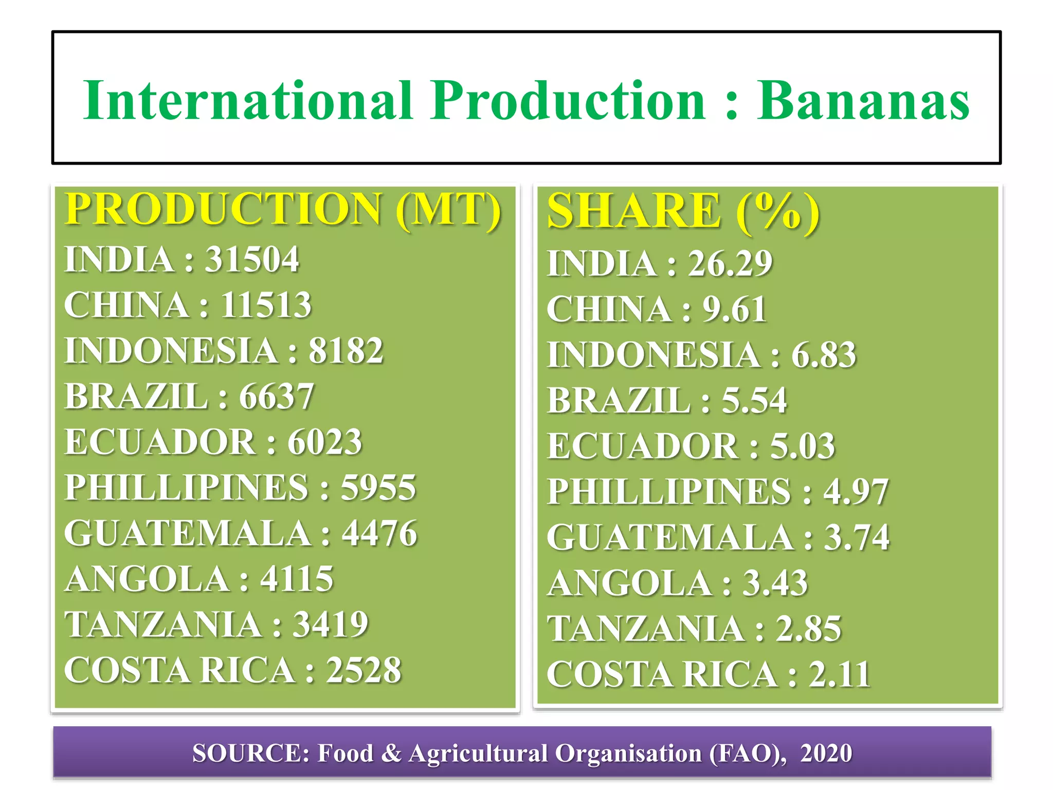 BANANA BREEDING.pptx