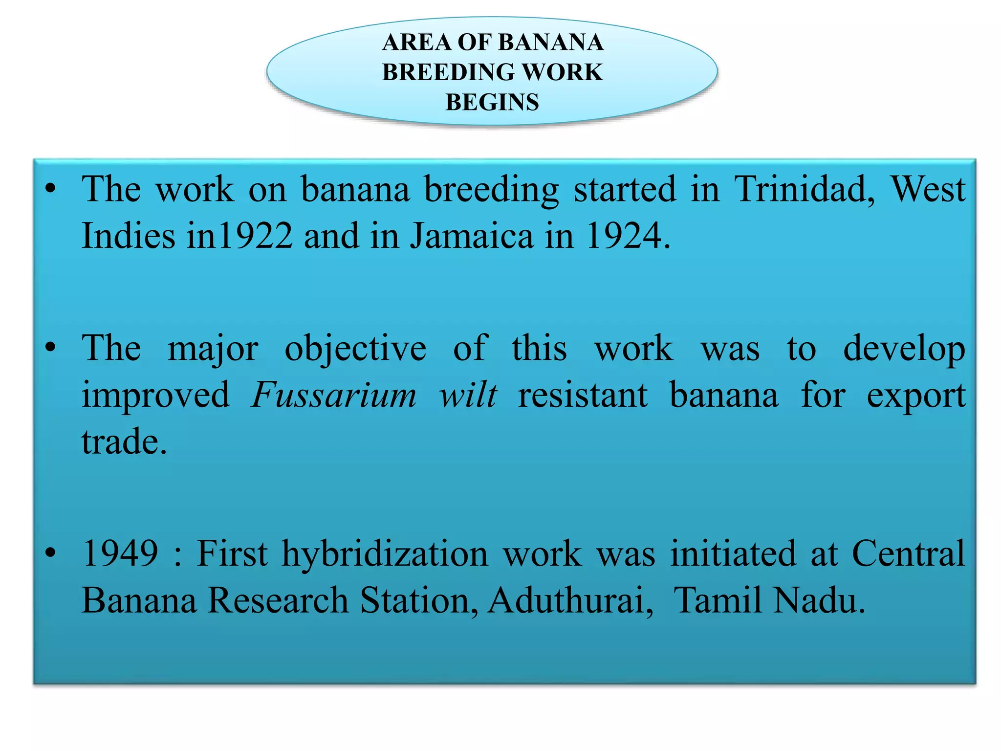 BANANA BREEDING.pptx