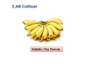 Ney Poovan Banana