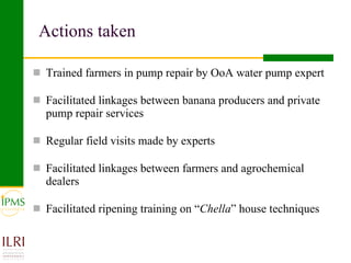 Banana value chain development: IPMS experience in Metema | PPT