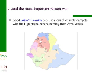 Banana value chain development: IPMS experience in Metema | PPT