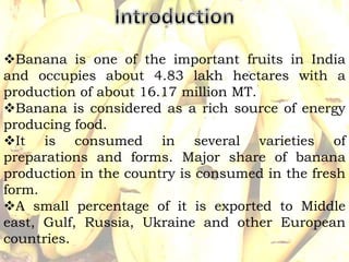 project proposal of Banana cultivation | PPTX
