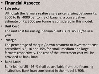 project proposal of Banana cultivation | PPTX