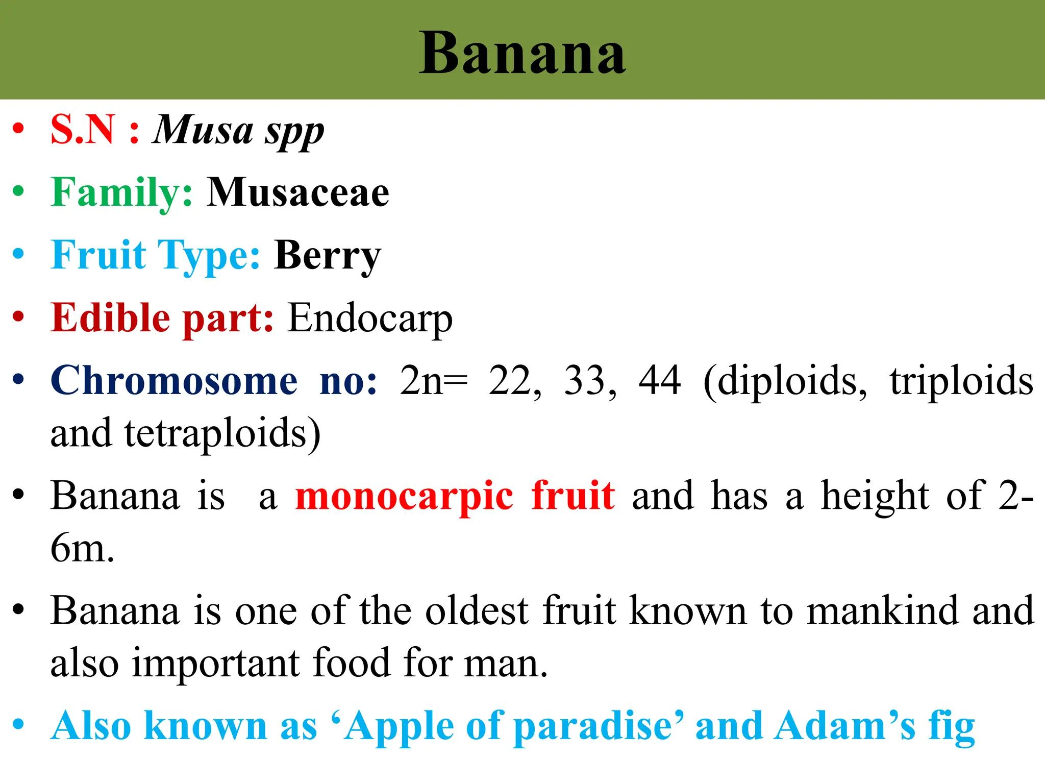 Production Technology of Banana in nepal.pptx